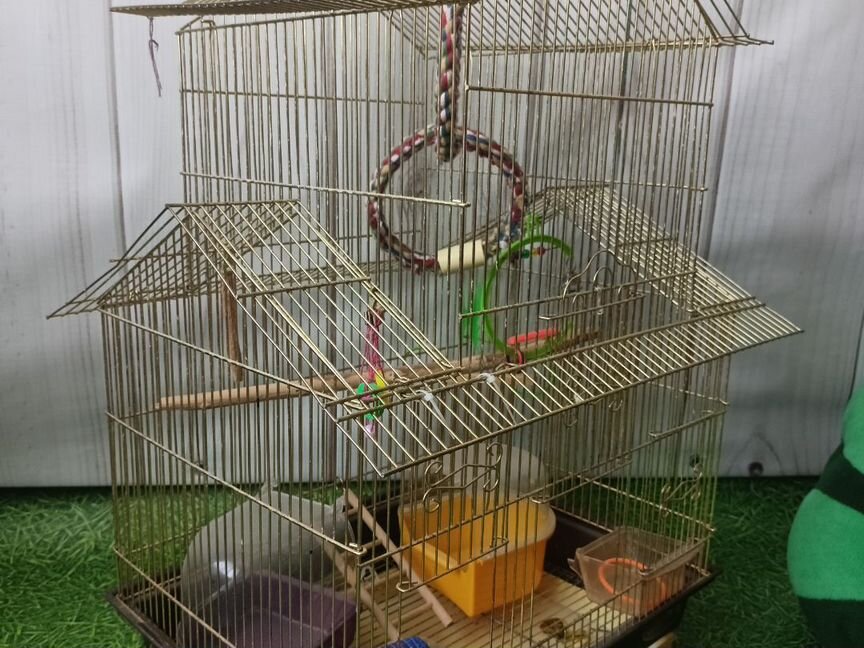 Клетка для попугая