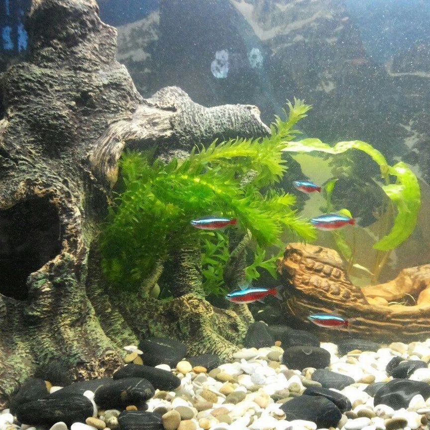 Грот для аквариума