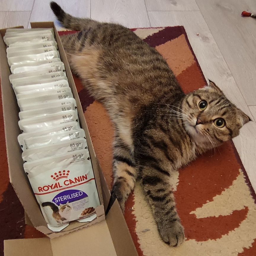 Корм для кошек Royal Canin sterilised в соусе