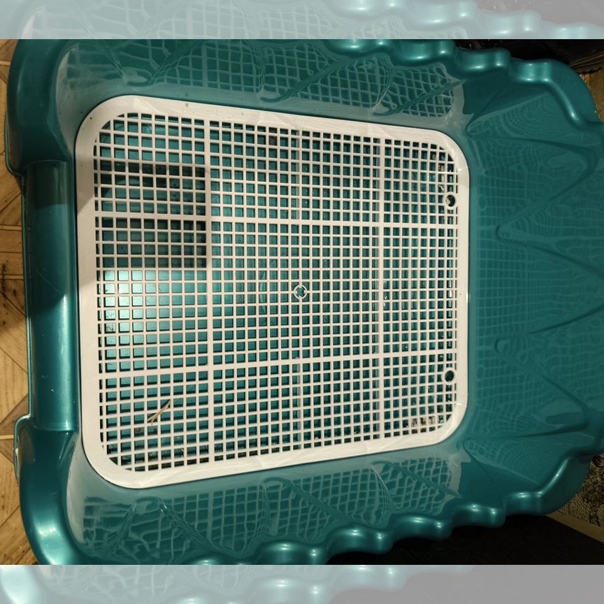 Лоток туалет для собак