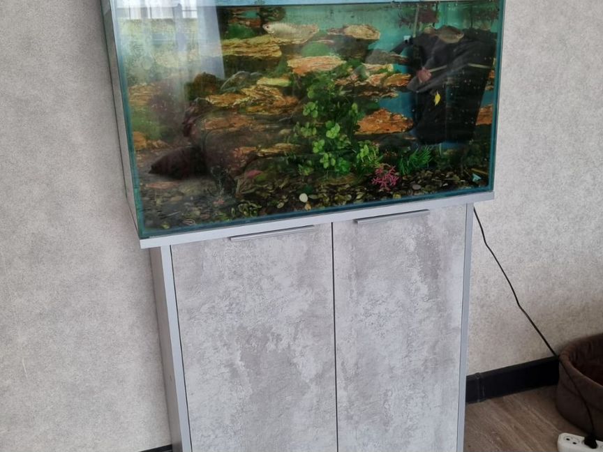 Аквариум с тумбой