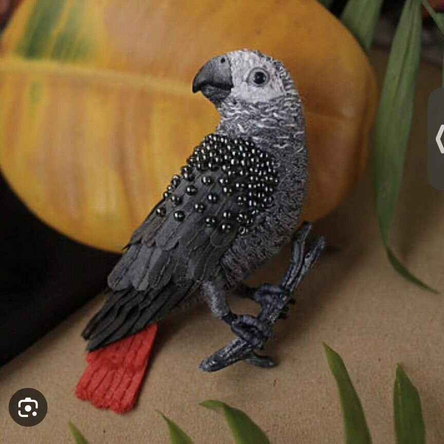 Ручной говорящий попугай