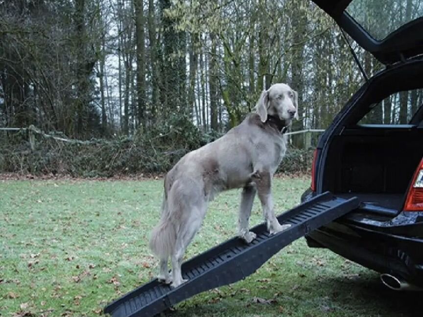 Лестница для собак складная новая