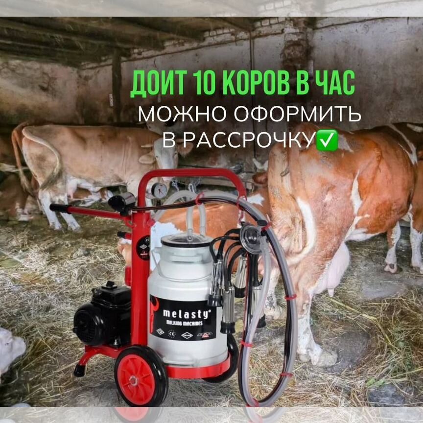 Доильный аппарат для коров, с доставкой