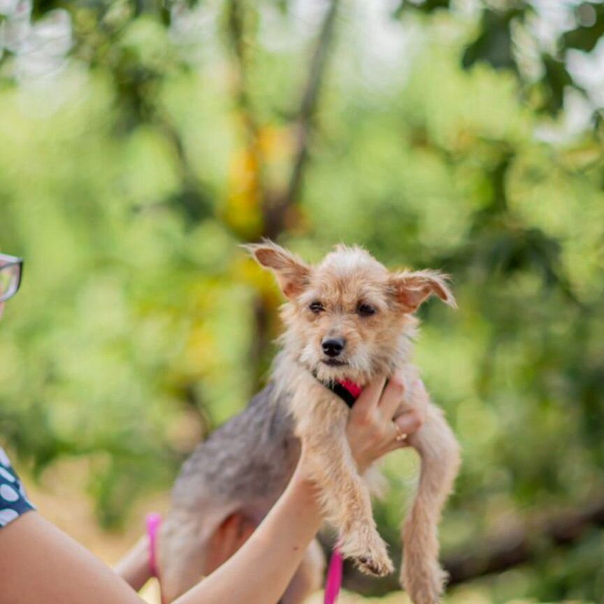 Липа ждëт родителей