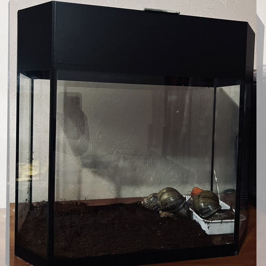 Террариум аквариум