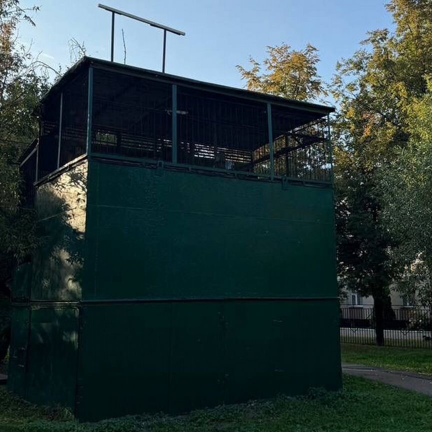 Голубятня в аренду