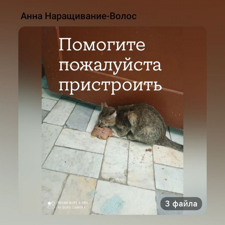Кошечка, чистая, ласковая