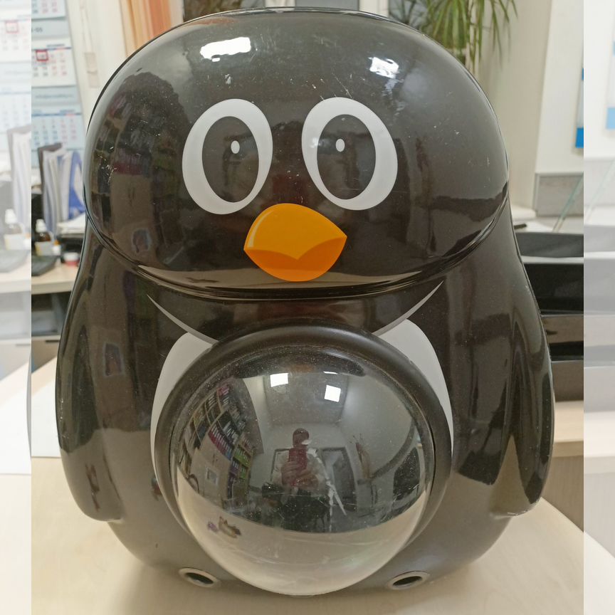 Рюкзак для кошек