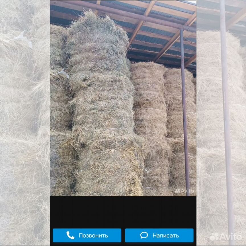Сено люцерны в рулонах