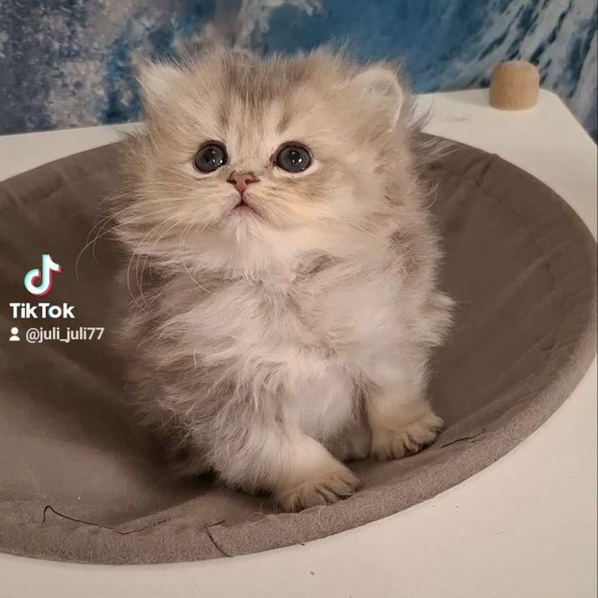 Домовенок
