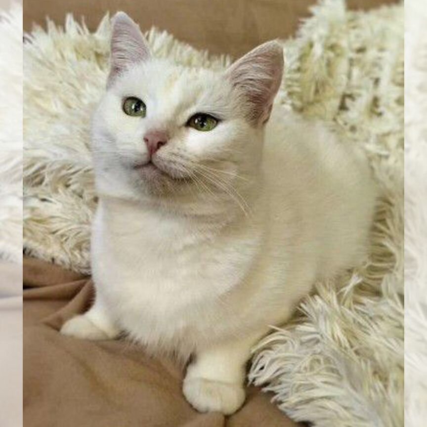 Спасена из ада