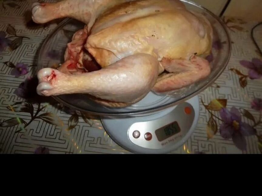 Мясо домашней птицы