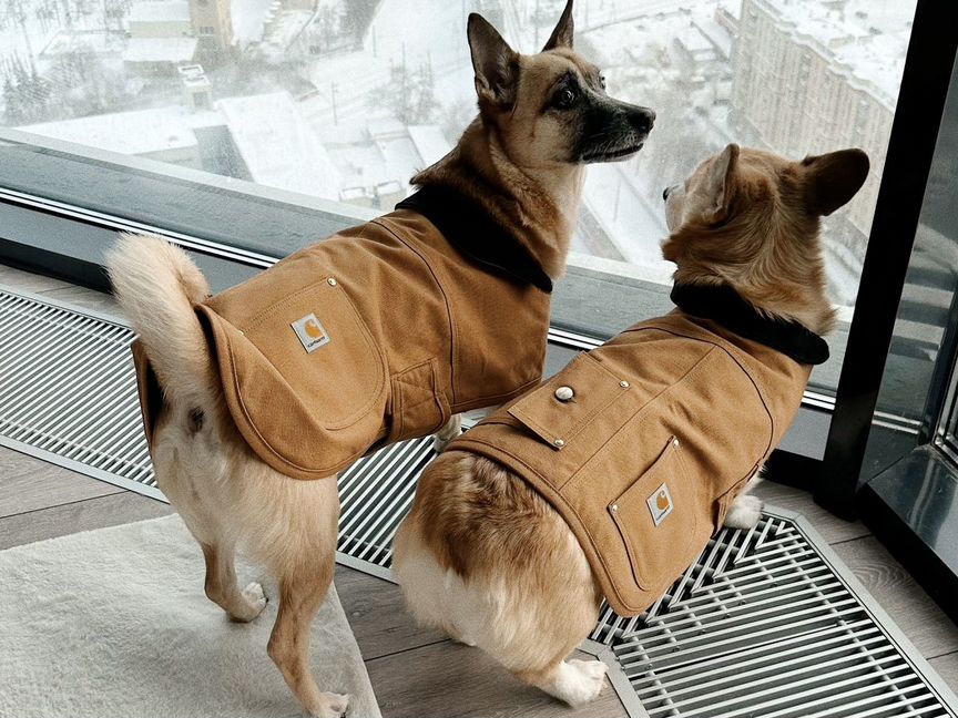 Куртка для собак Carhartt Coat