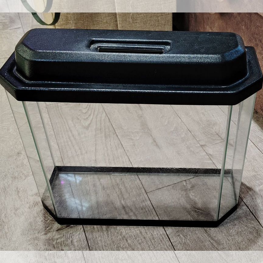 Аквариум разные