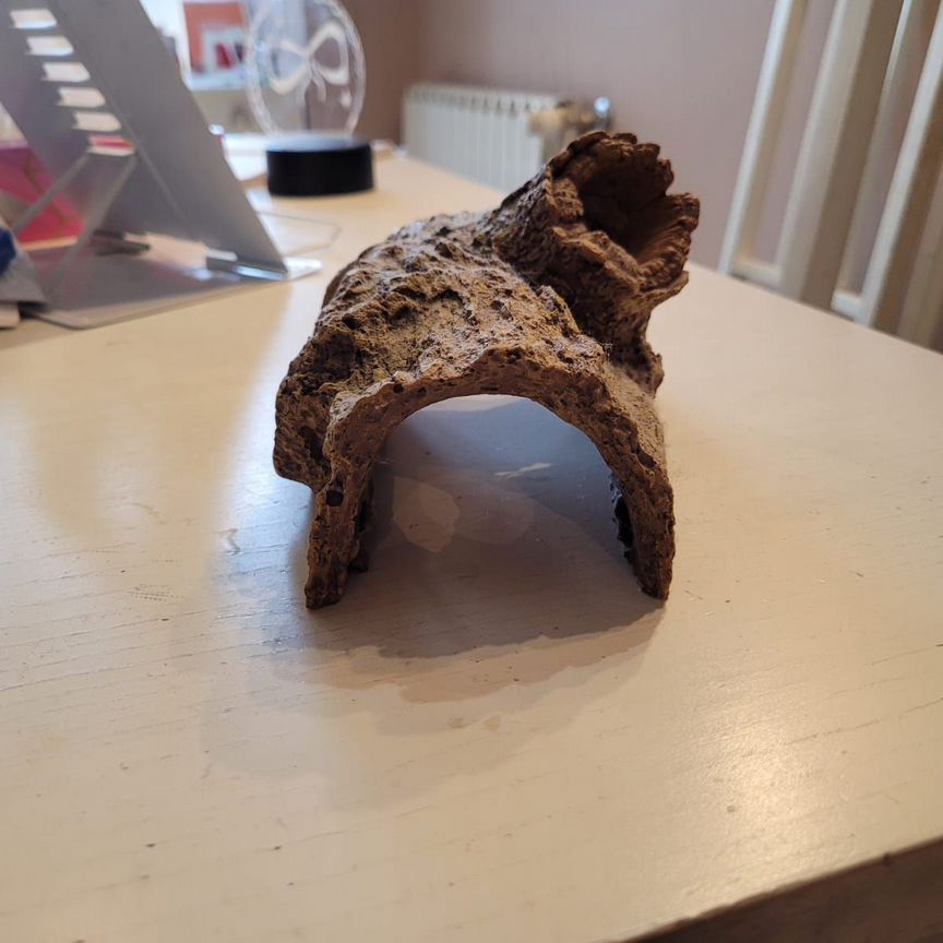 Контейнер для улиток