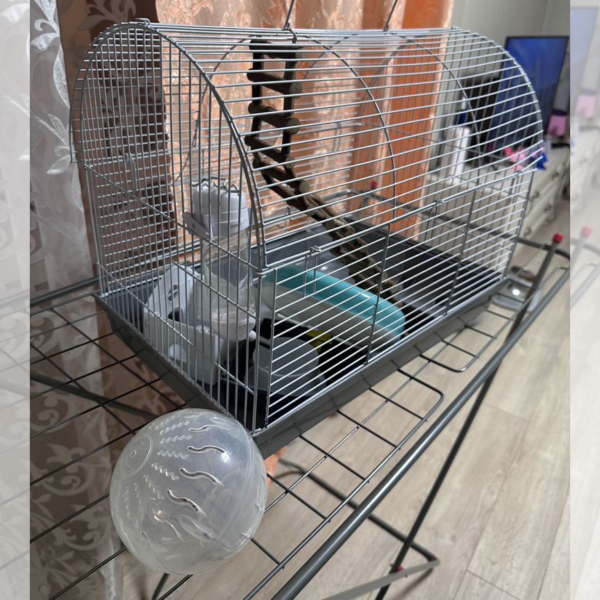 Клетка для грызунов большая   принадлежности