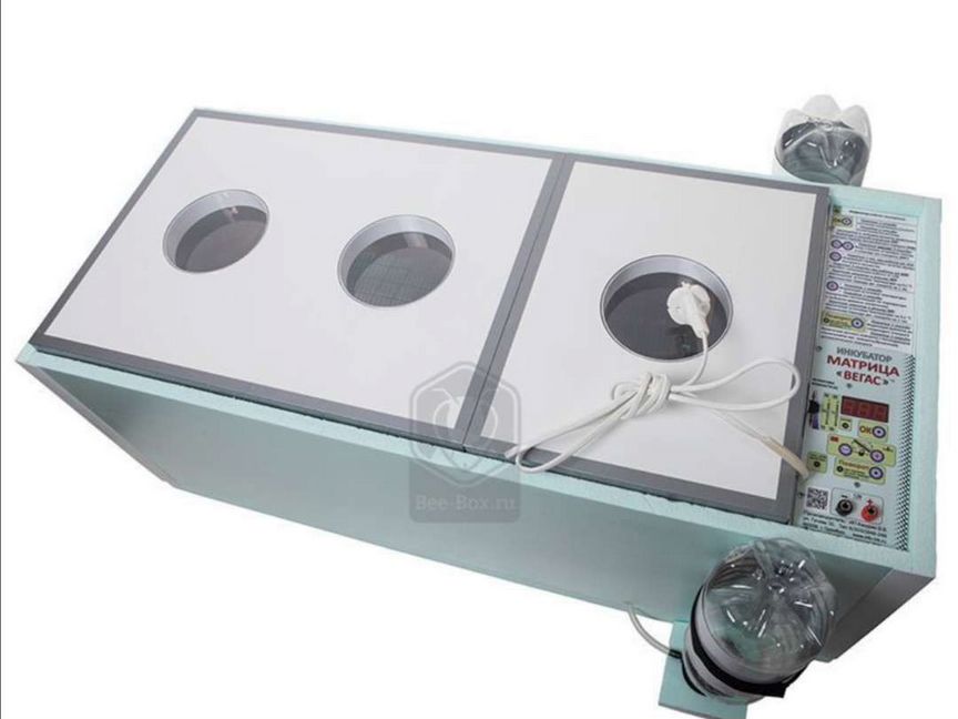 Инкубатор матрица вегас