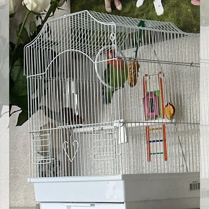 Клетка для попугая