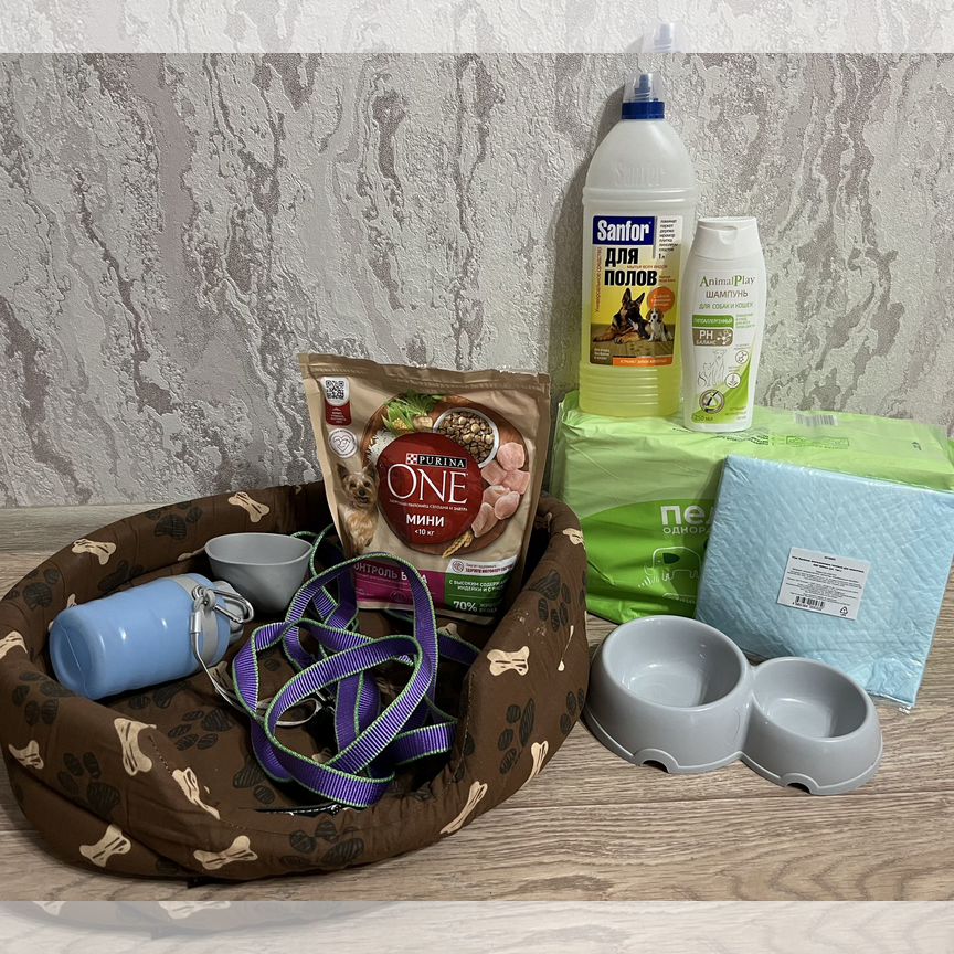 Принадлежности для собаки