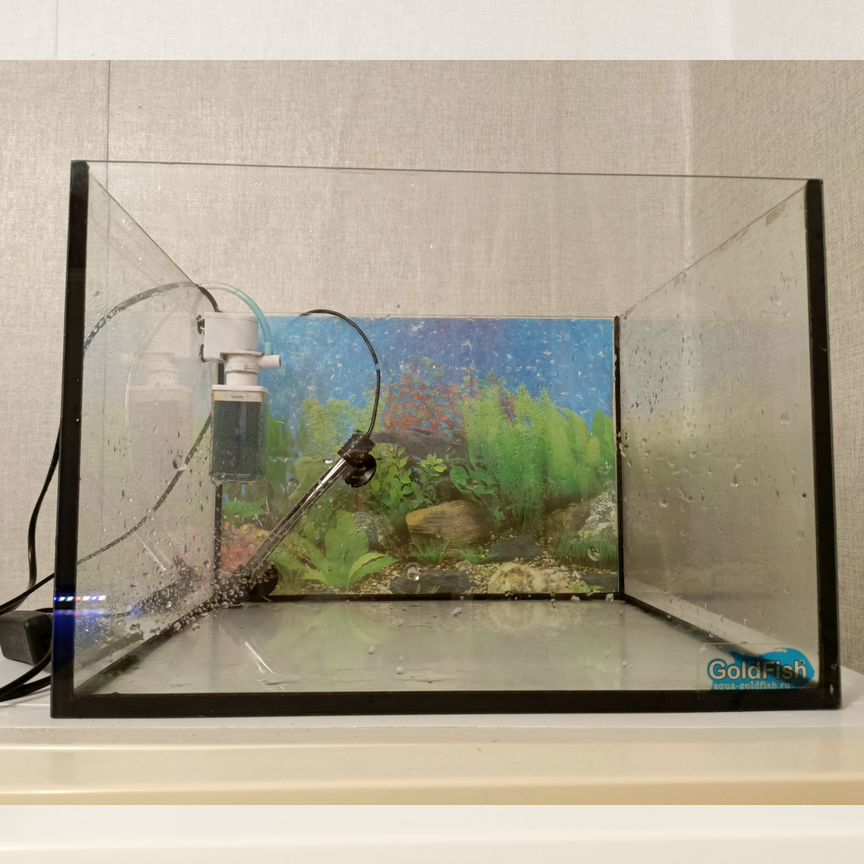 Аквариум 30 литров, полностью готовый к заселению