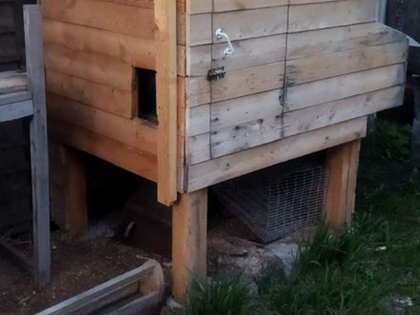 Домик для курочек