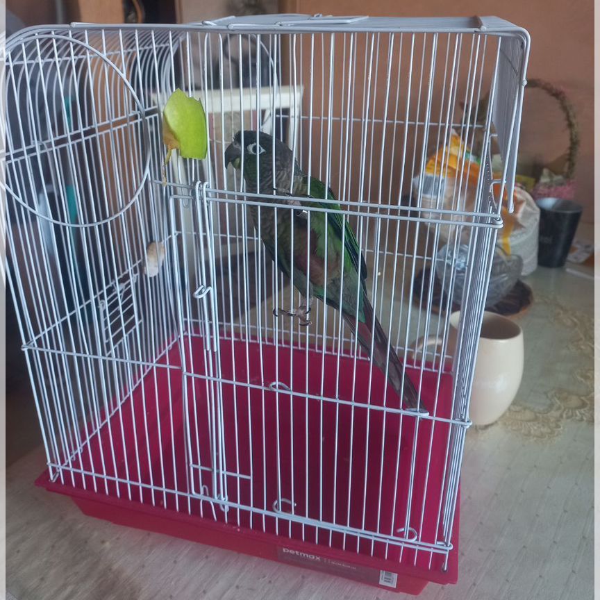 Клетка для попугая