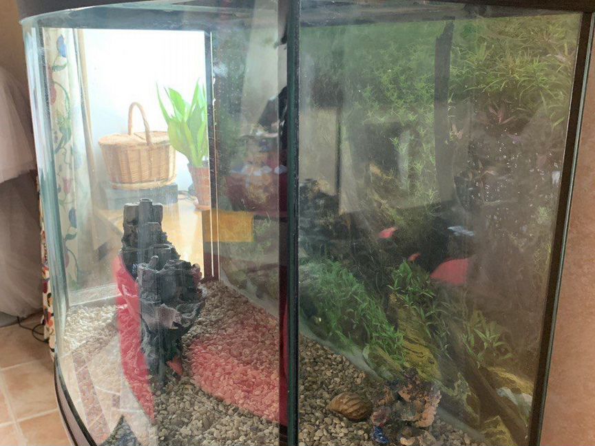 Аквариум AquaPlus 100л с тумбой