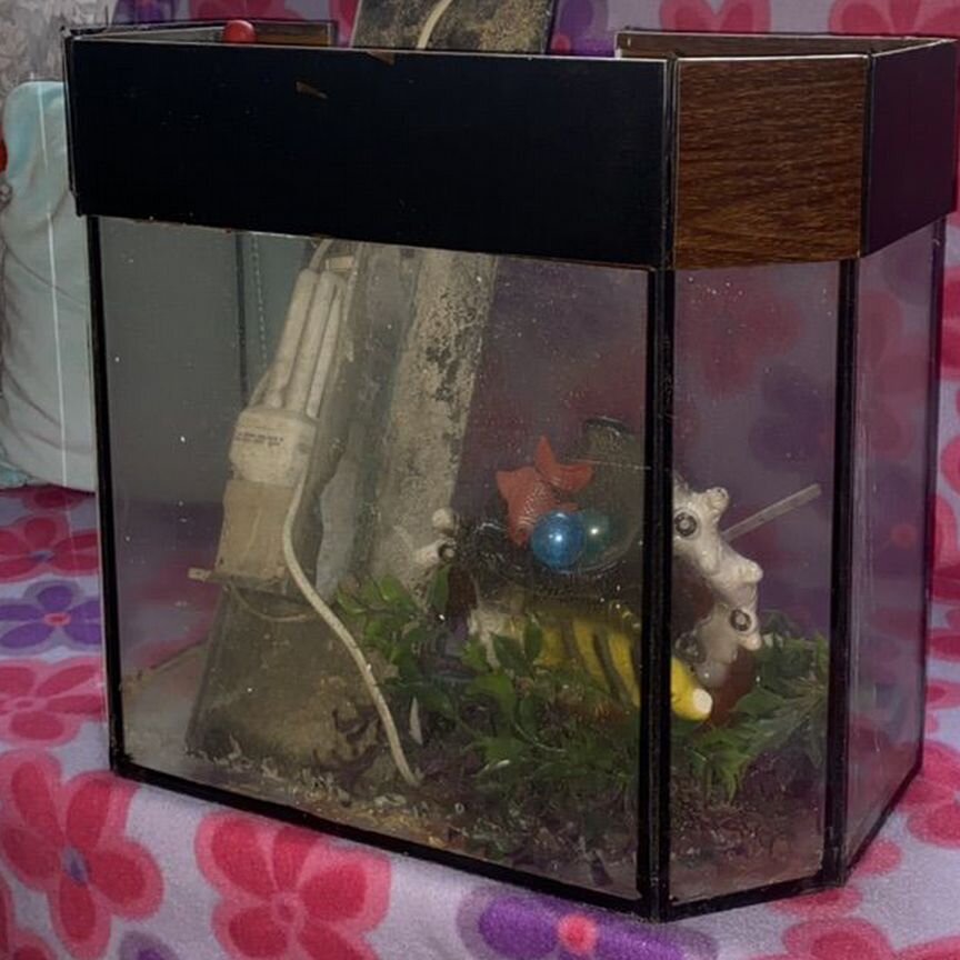 Аквариум для рыбок