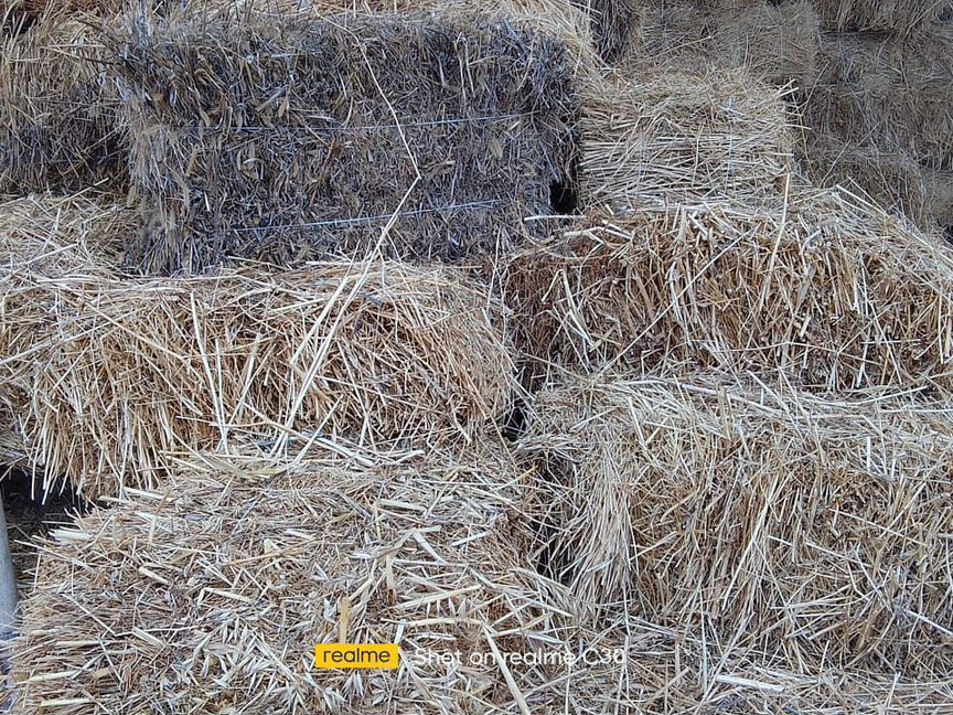 Солома в тюках