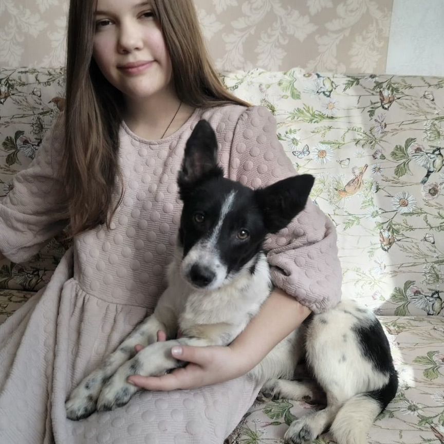 Малыш Каспер