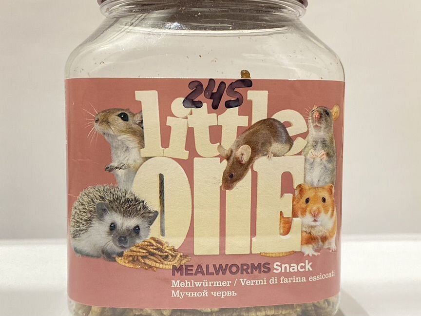 Мучные червячки лакомство для грызунов