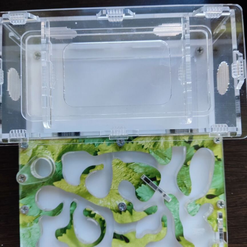 Формикарий для муравьев