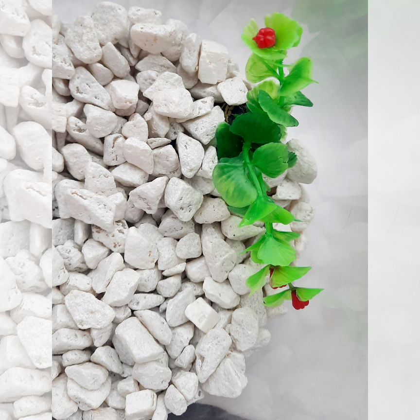 Аквариум для петушка