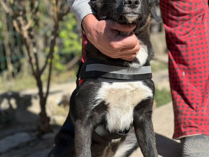 Ищем самые добрые руки для малышки (девочка)