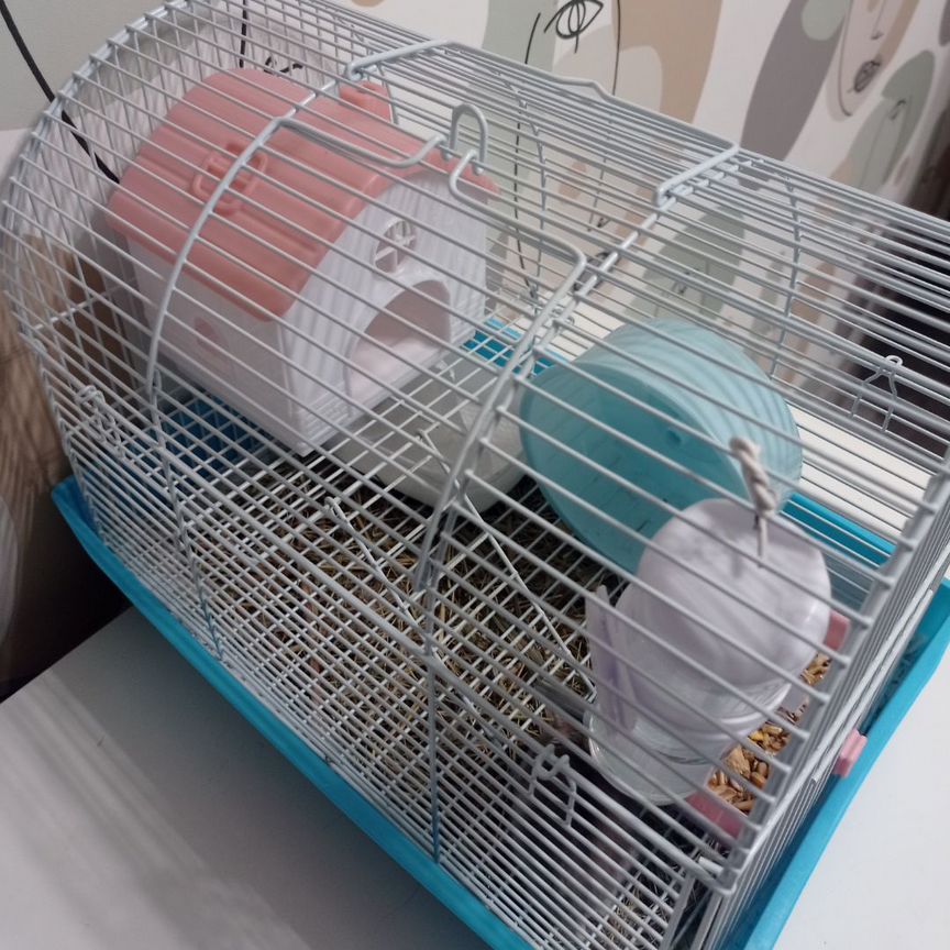 Клетка для джунгарского хомяка