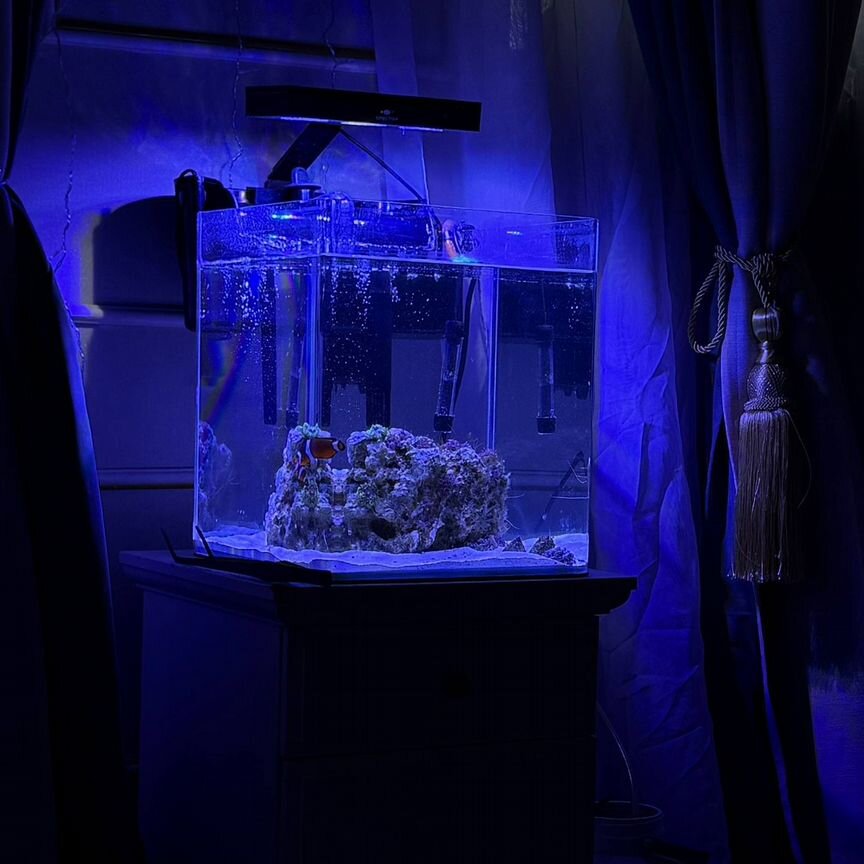 Морской аквариум