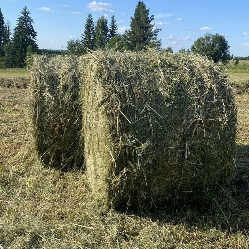 Сено луговое в рулонах