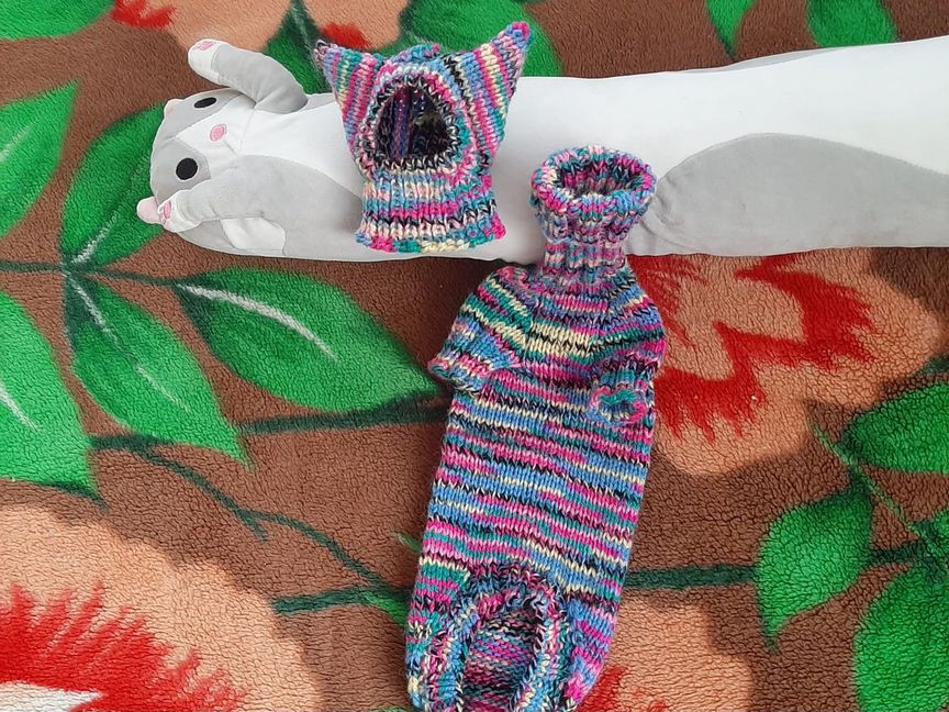 Костюмчик для сфинксов и маленьких собак