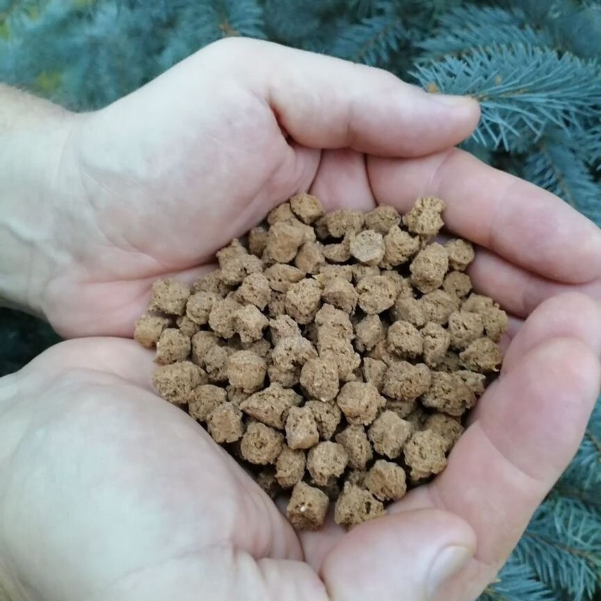 Корм для кошек и собак Purina 1кг 80руб