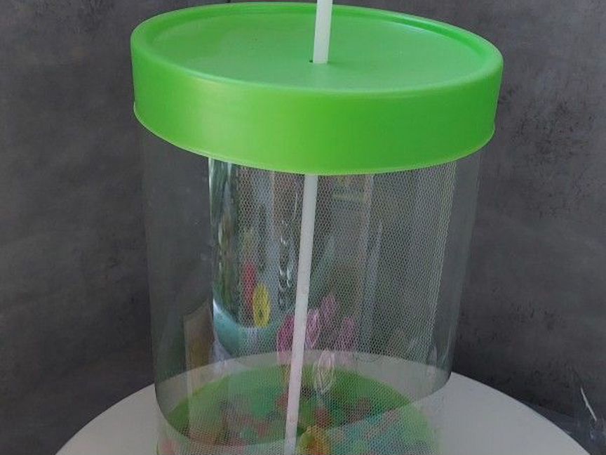 Бабочкарий