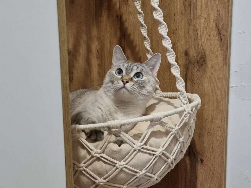Гамак для кошек + подушка
