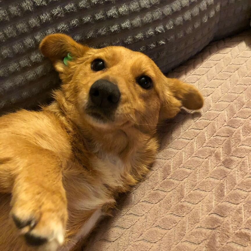 Солнечная Лиза ищет дом