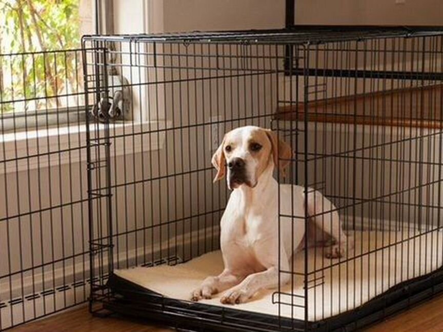 Клетка для собак