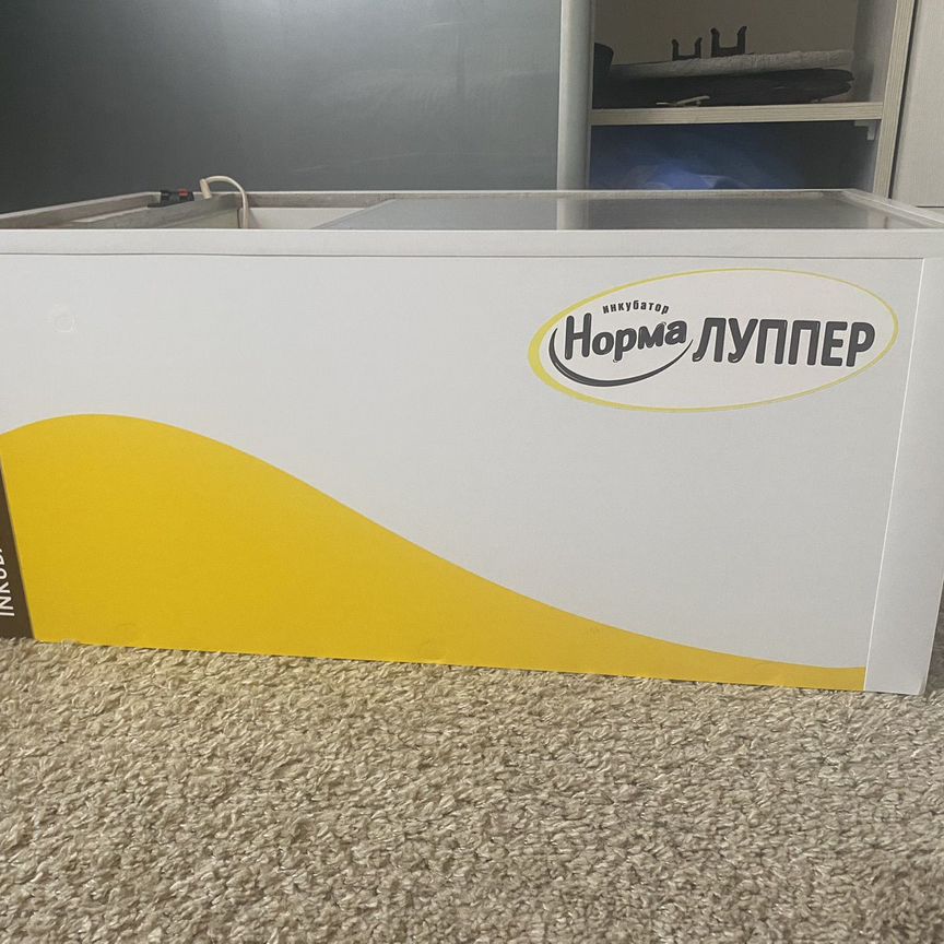 Инкубатор