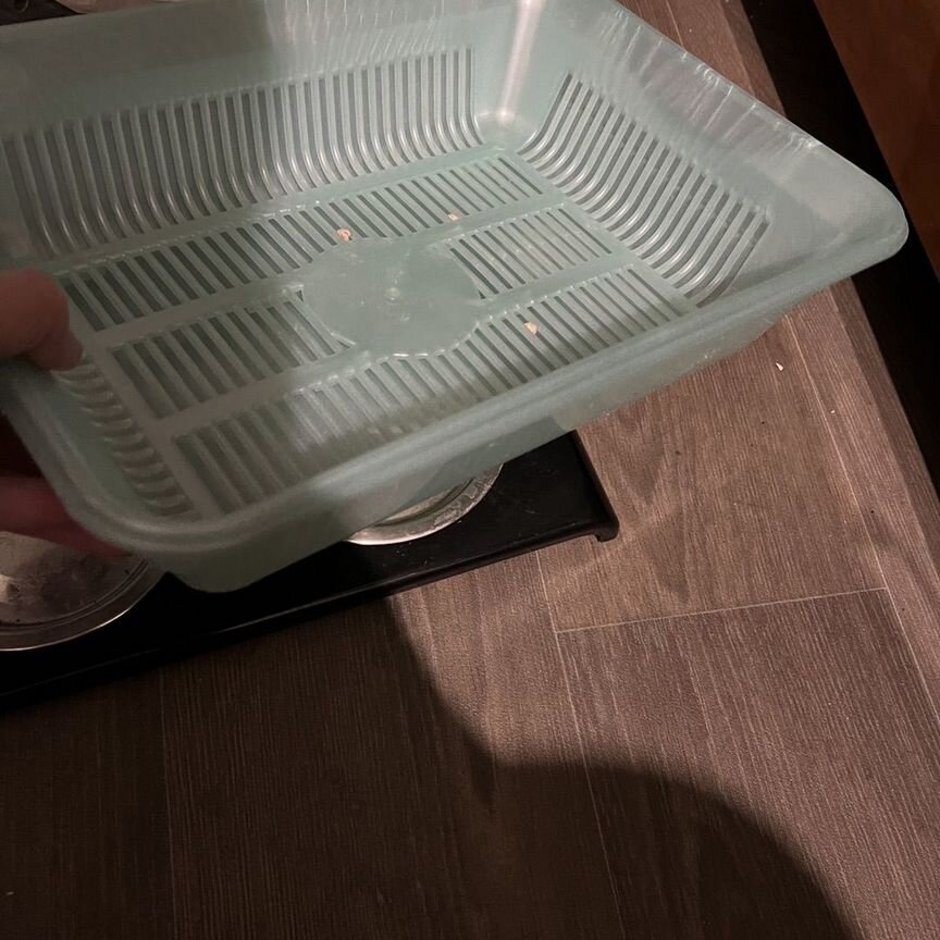Лоток для котят