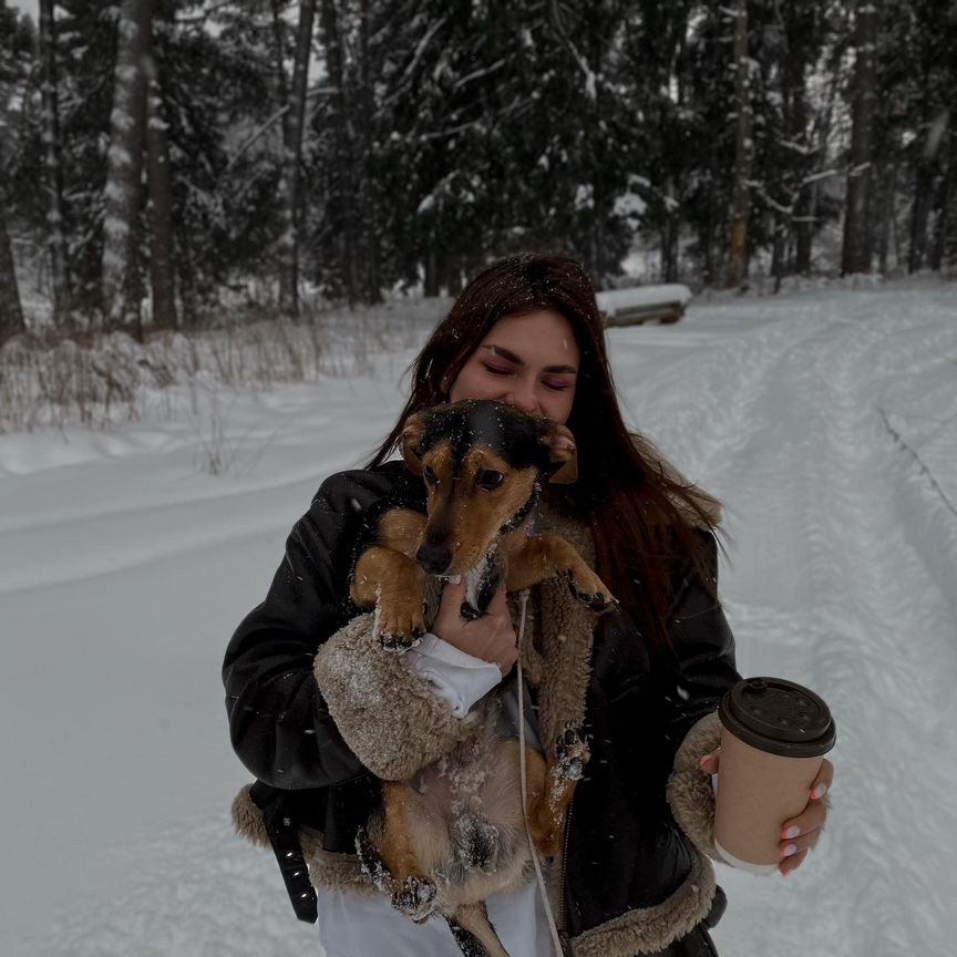 Собака в добрые руки