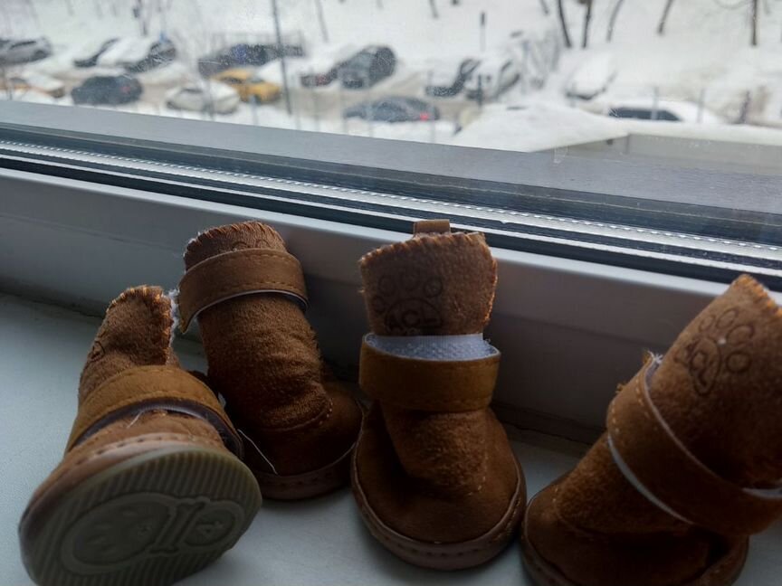 Замшевые ботинки угги на липучке, на собачку