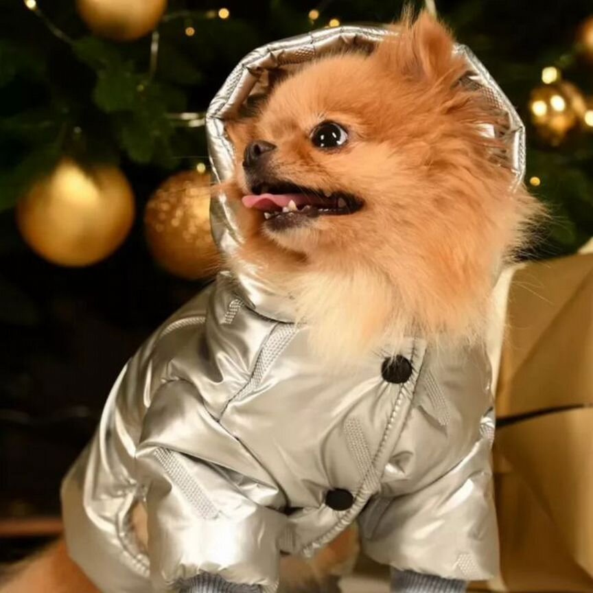 Зимний комбинезон