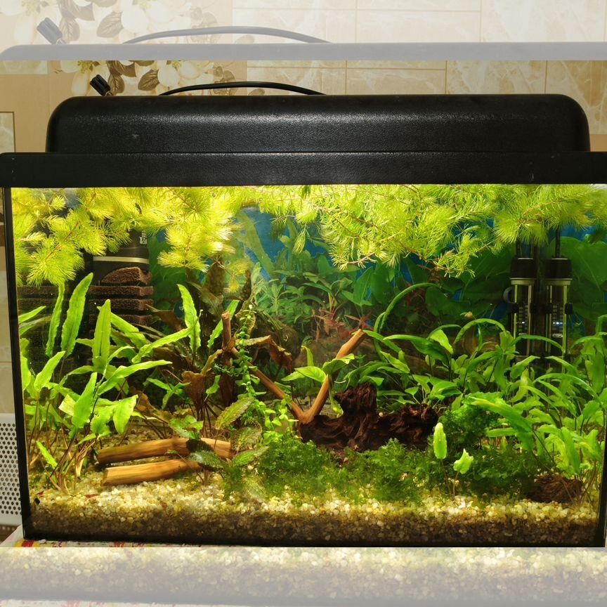 Действующий аквариум